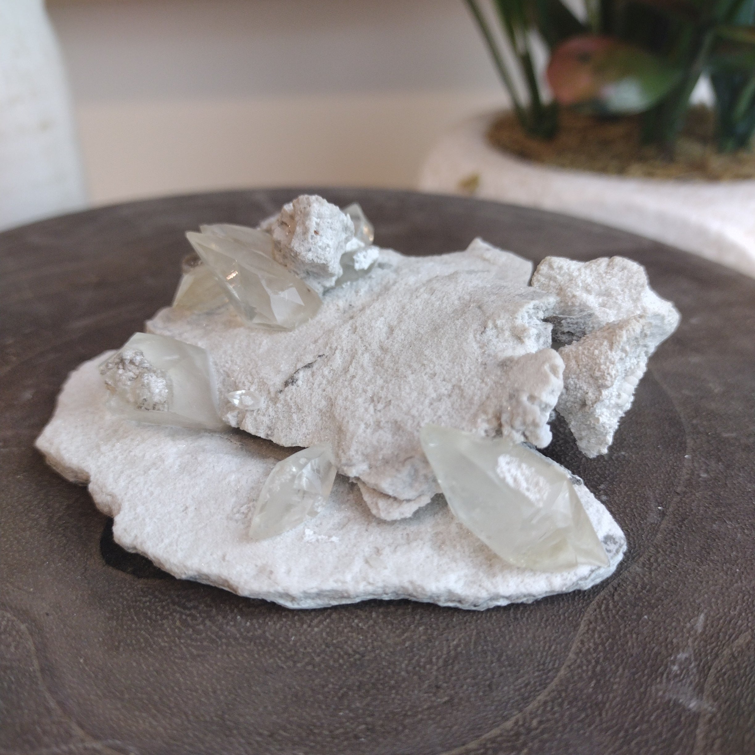 Calcite on Limestone Specimen – Crystal Joys