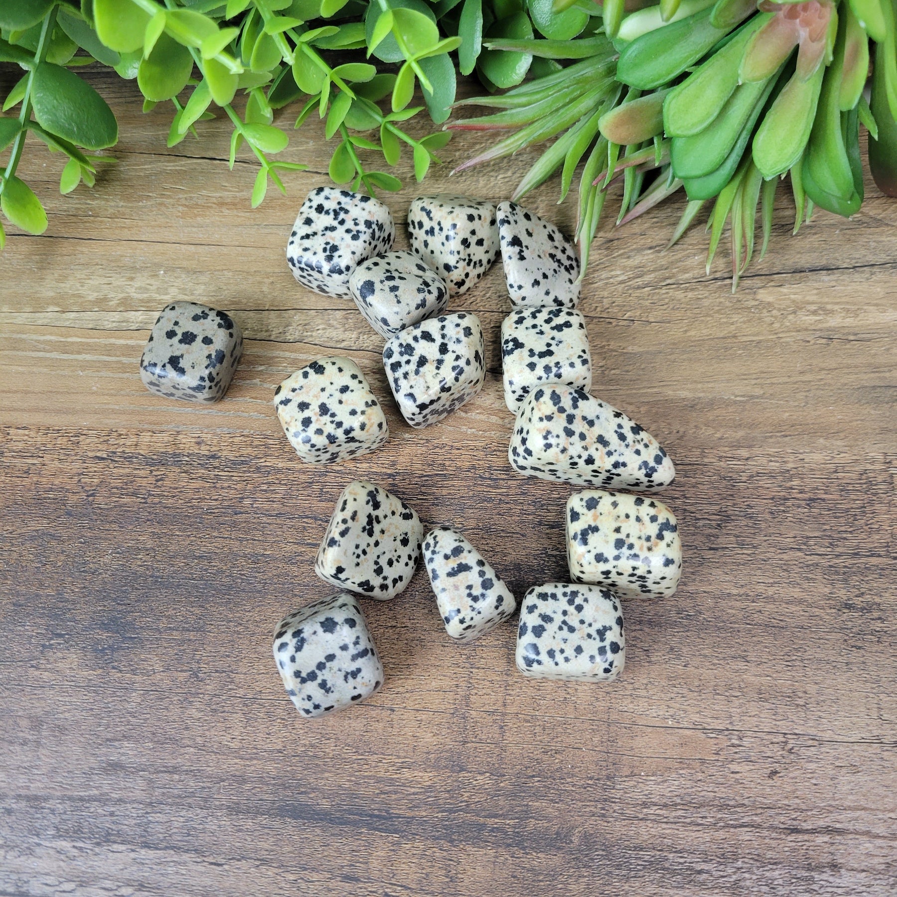 Dalmation Jasper 1-Inch *Sold Individually* – Crystal Joys