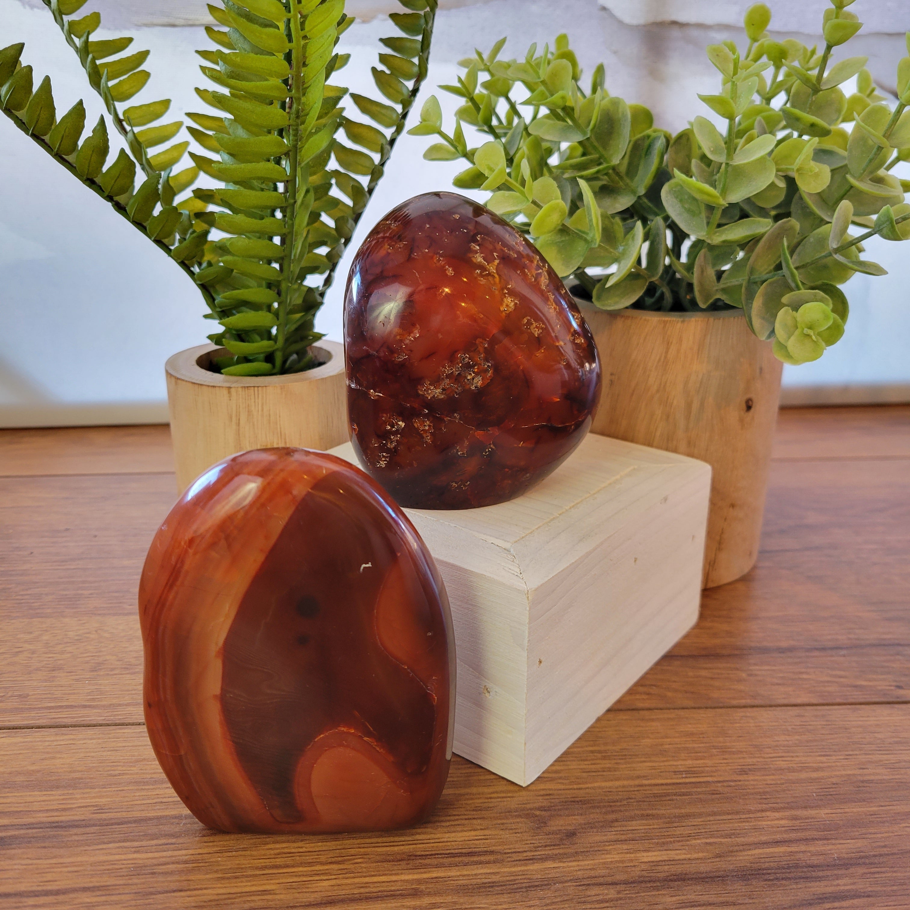 Carnelian Cut Base Specimen Polished 4"x 3'5" – Crystal Joys