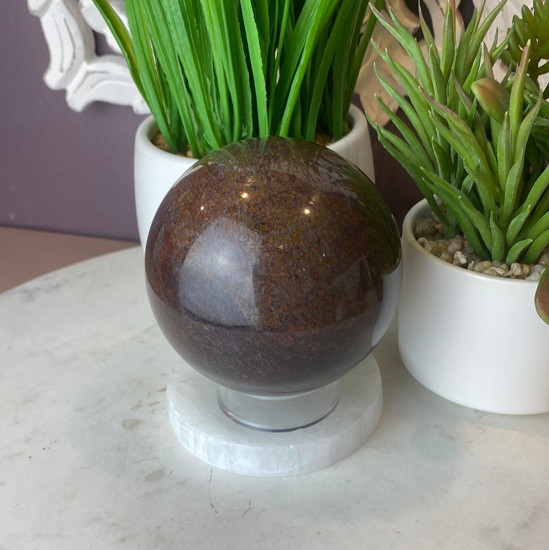 Dinosaur Bone Sphere-Variants – Crystal Joys