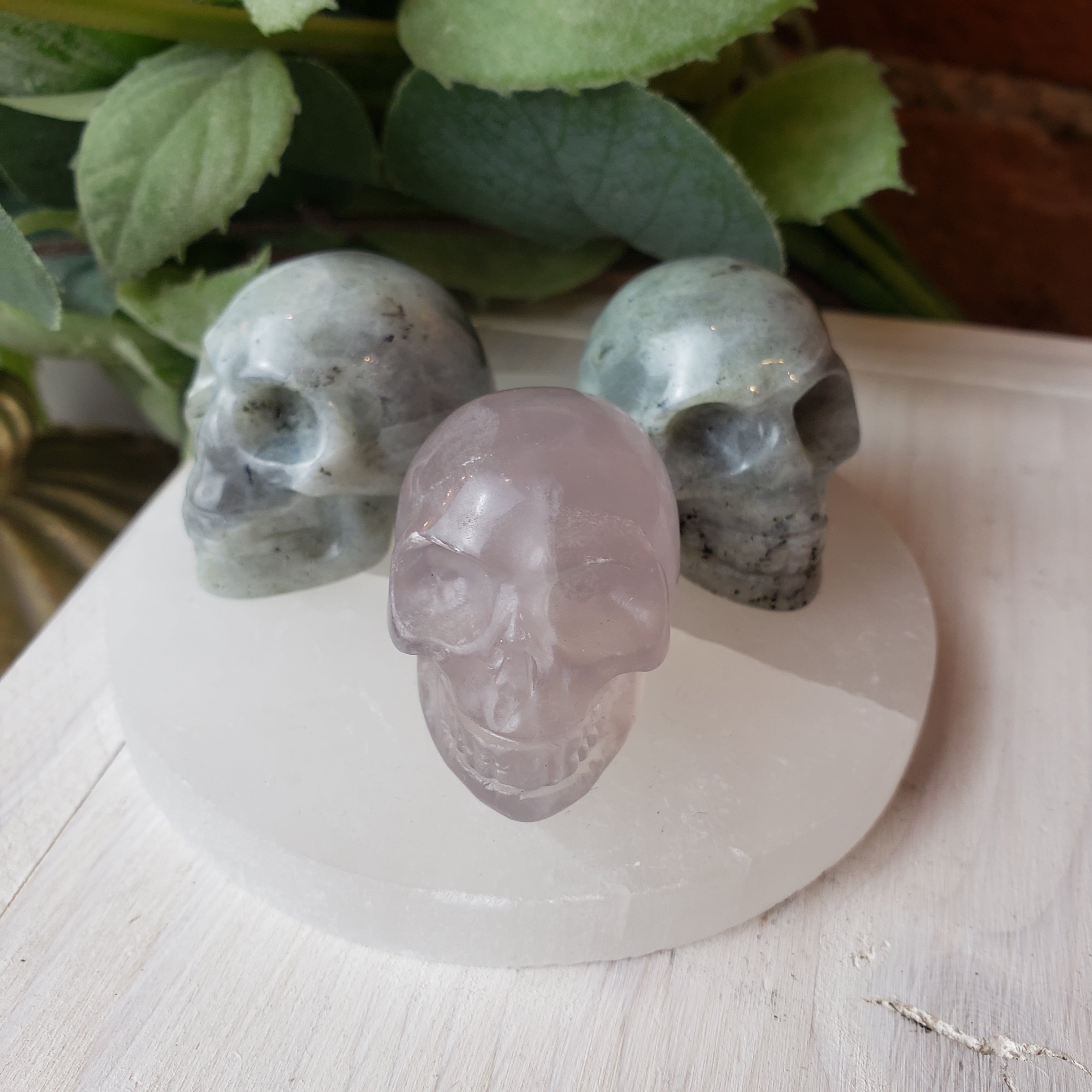 Gemstone Carved Skulls 1" - Various Gemstones – Crystal Joys